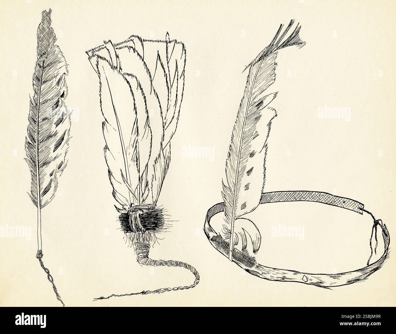 Illustration of three types of Cherokee headdress, hawk and heron ...