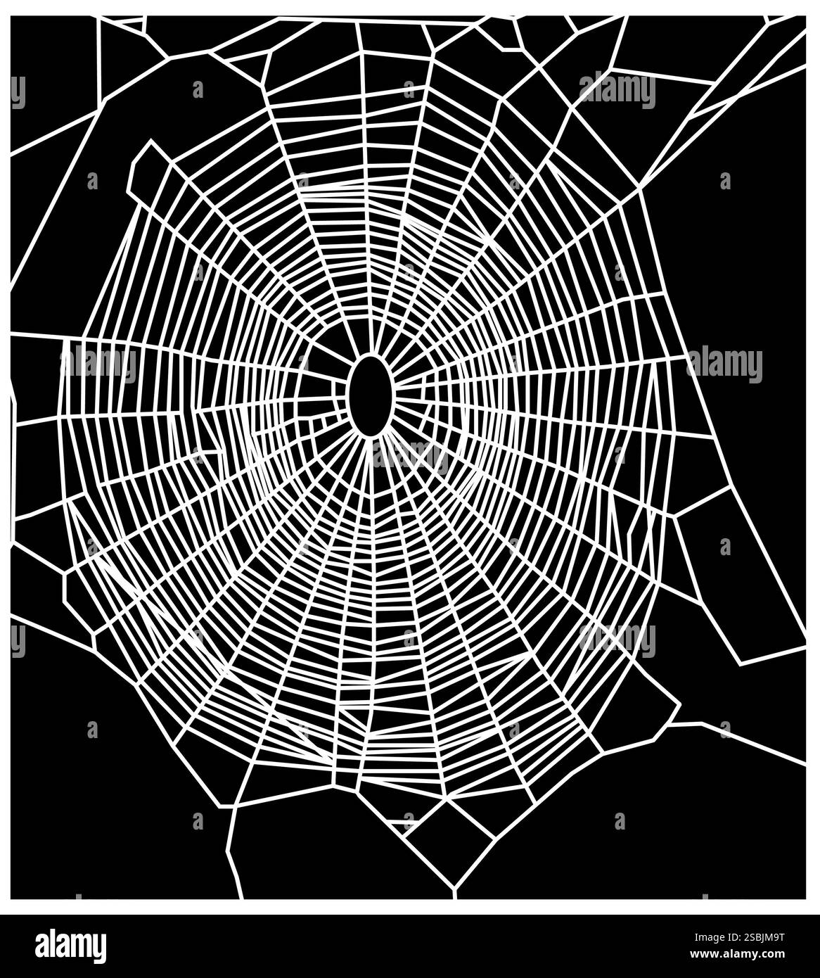 Computer artwork showing the normal web-making ability of Garden ...