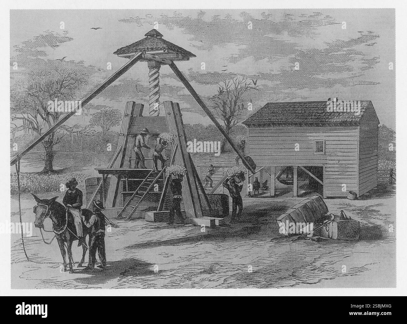 Staple press hi-res stock photography and images - Alamy