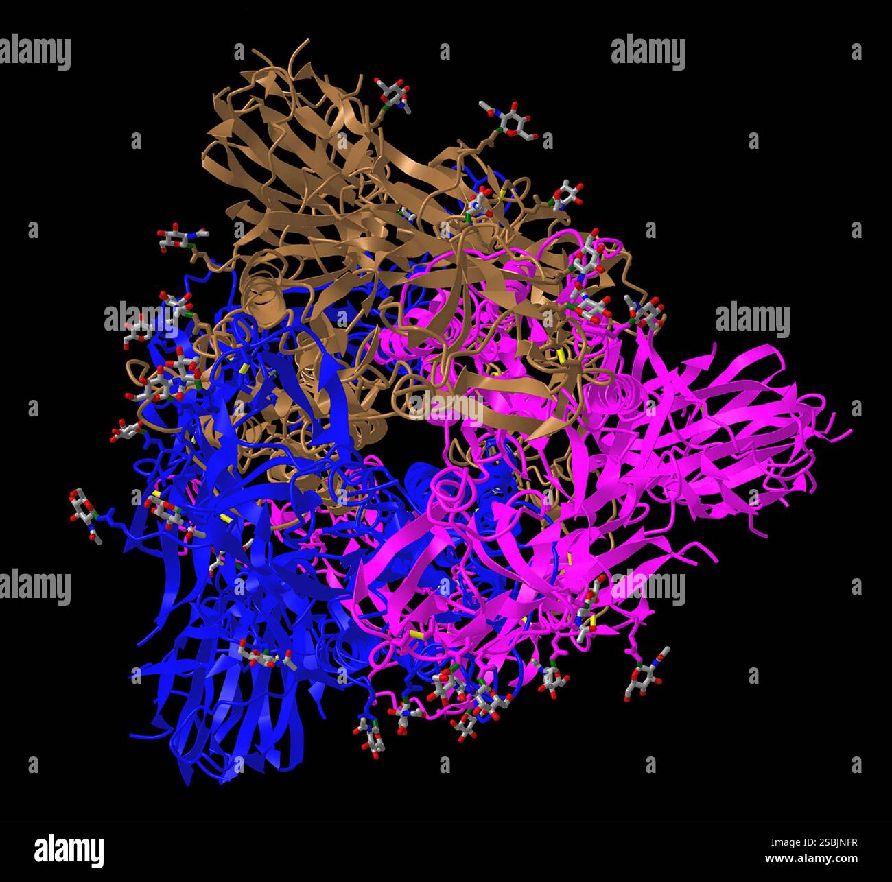 South African (B.1.351) SARS-CoV-2 spike protein variant (S-GSAS-B.1. ...