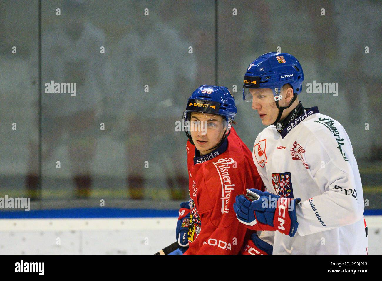 Stockholm, Prague. 3rd Feb, 2025. Hockey players Tomas Cibulka, left ...
