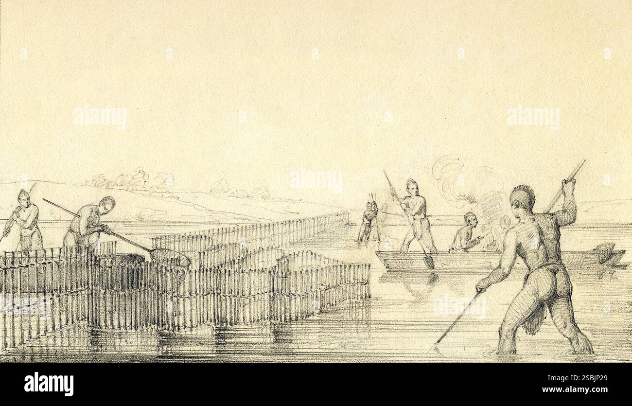 Engraving of six Seminole men, some standing in water, some in canoes ...