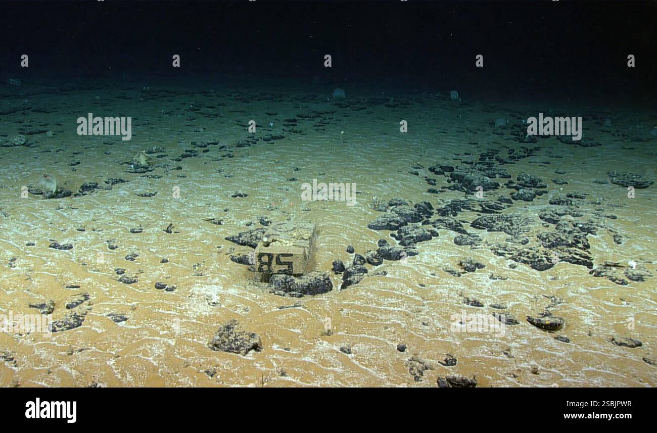 In the 1980s, the U.S. Geological Survey marked the Deep Sea Ventures site with approximately ...