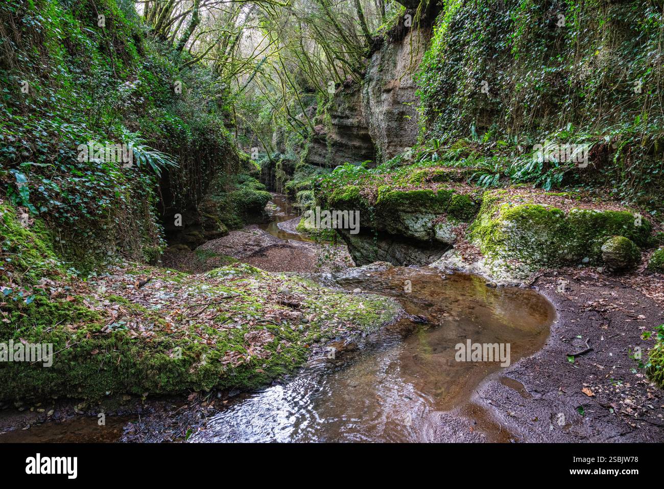 Natural canyons (forre), streams and waterfalls near the village of ...