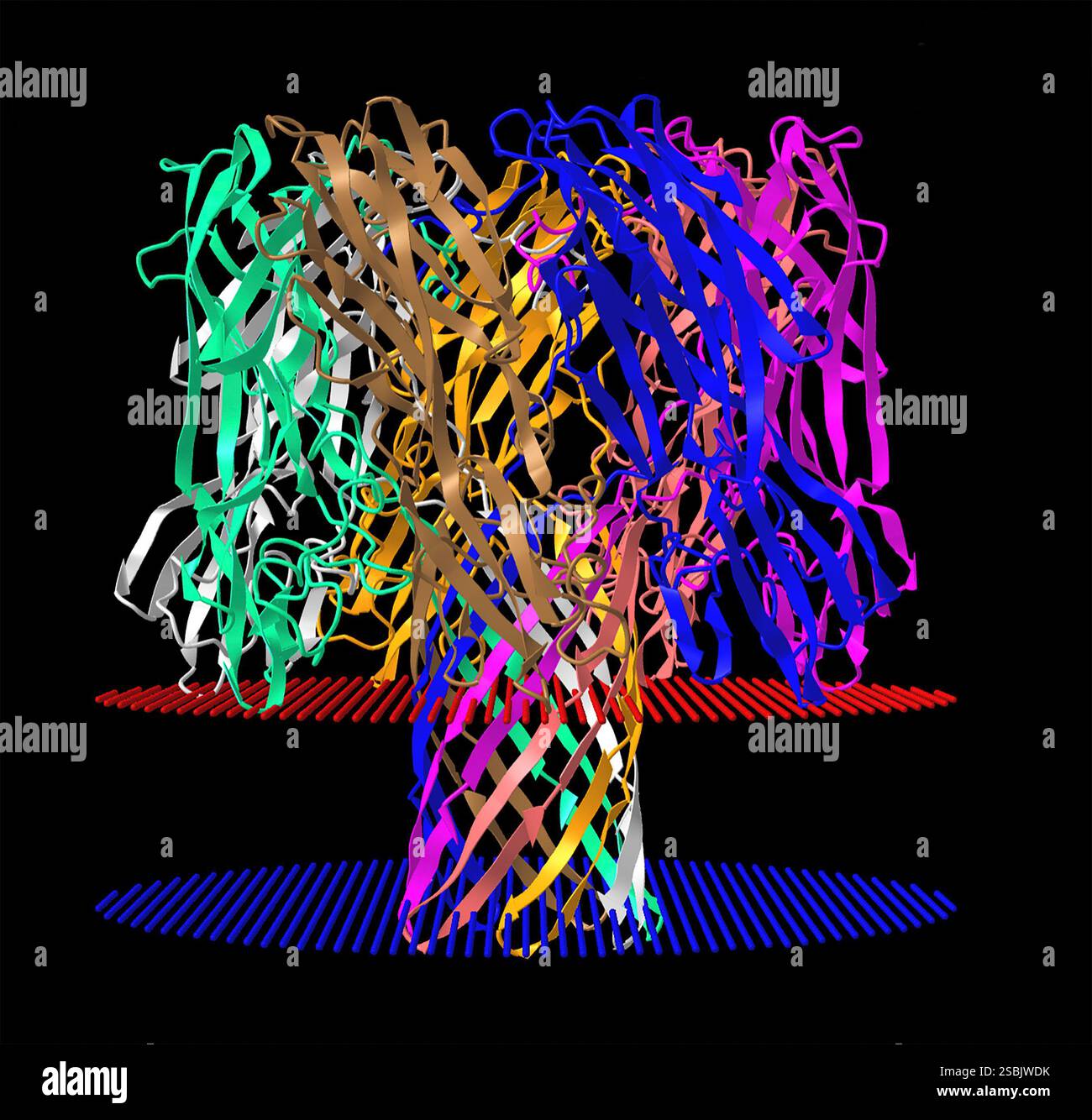 Structure of staphylococcal alpha-hemolysin, a heptameric transmembrane ...