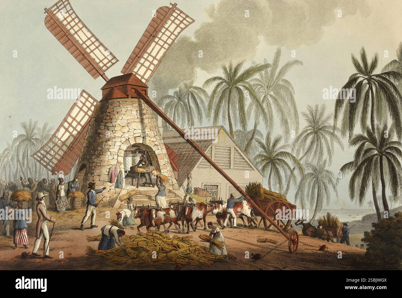 Slaves grinding sugar cane in a windmill. The Mill Yard, part of the ...