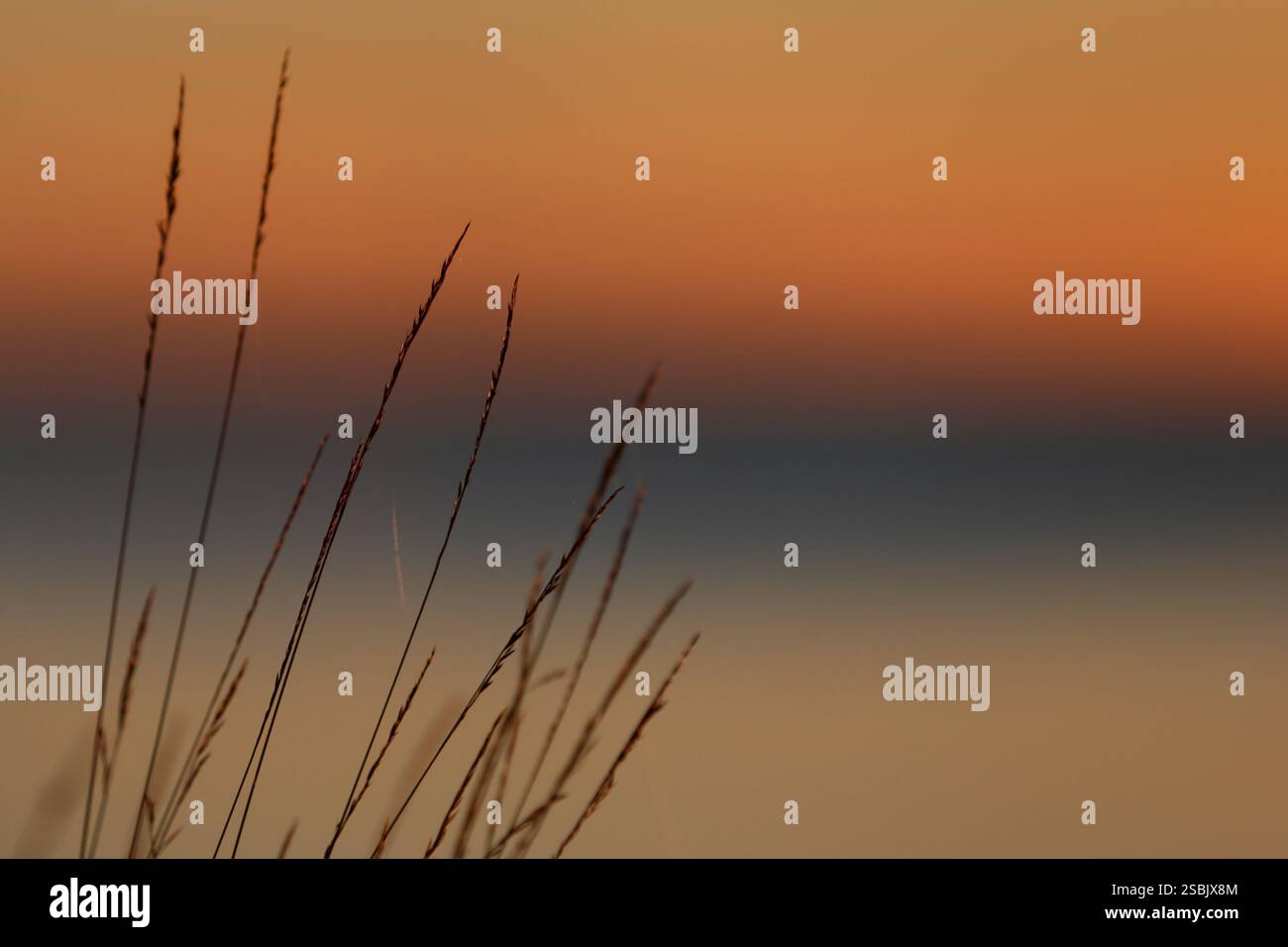 Gentle light in hi-res stock photography and images - Alamy