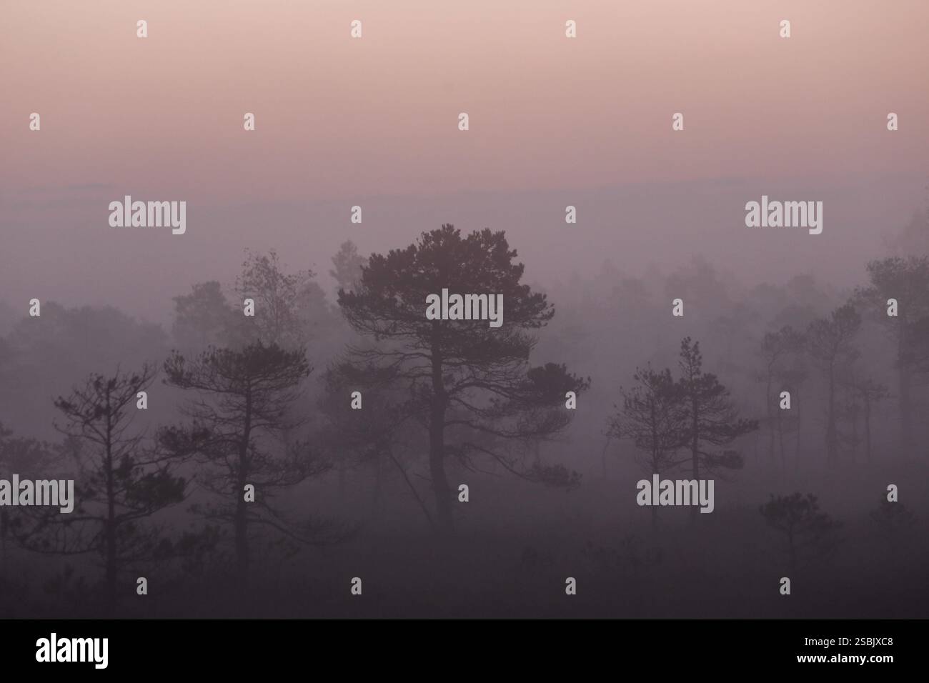 Misty lovely hi-res stock photography and images - Alamy