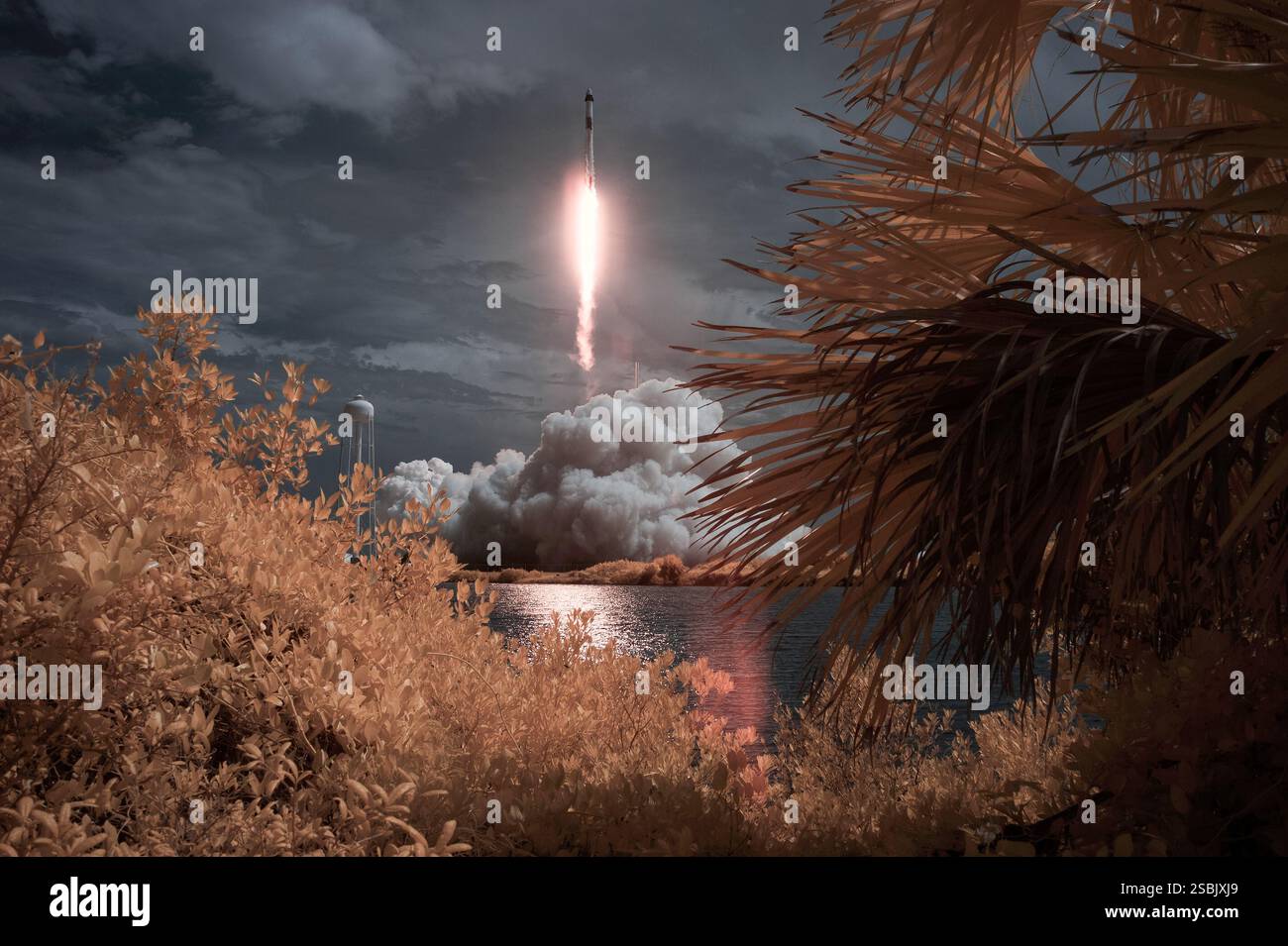 A SpaceX Falcon 9 rocket launched on NASA's SpaceX Demo-2 mission to ...