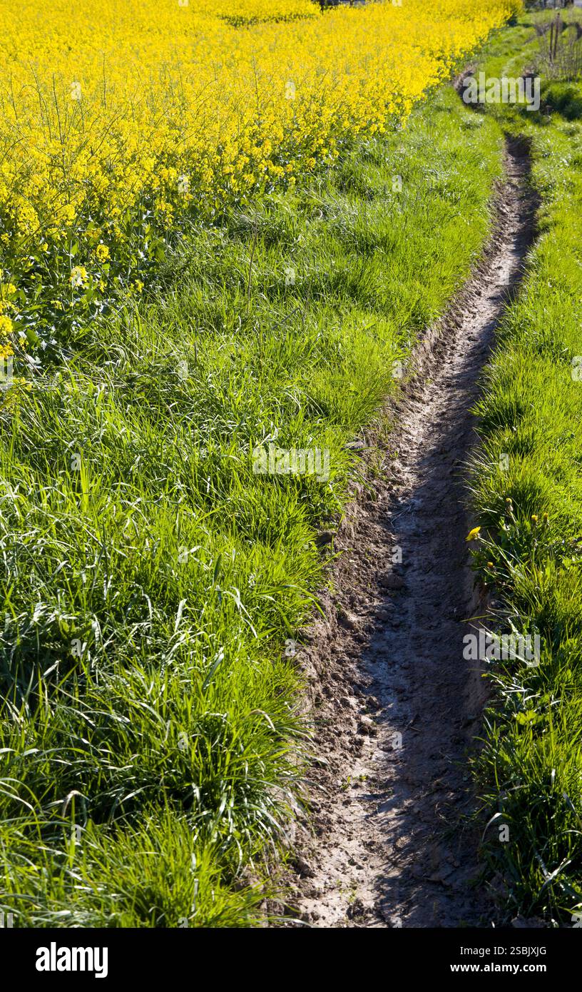 Ditch made by huge tractor's wheel Stock Photo - Alamy