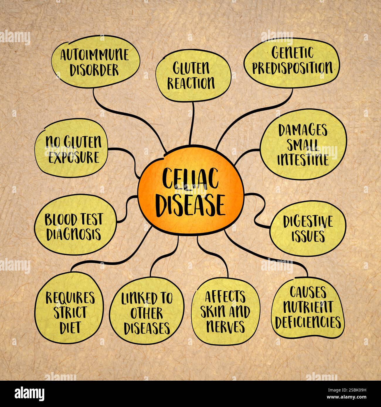 Celiac disease is an autoimmune disorder in which the ingestion of ...
