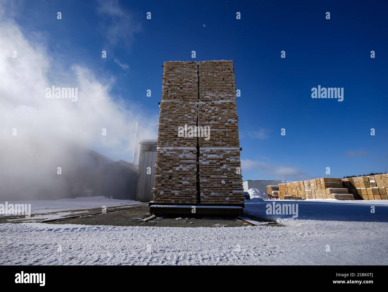 Mont Blanc, Canada. 20th Jan, 2025. Softwood lumber sits stacked at ...