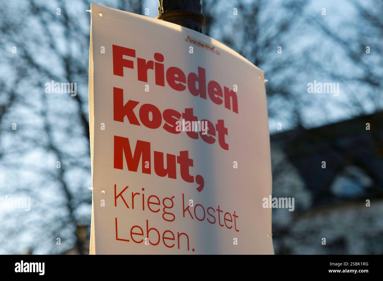 Wahlplakat von Die Linke zur Wahl zum 21. Deutschen Bundestag. Bonn, 02 ...