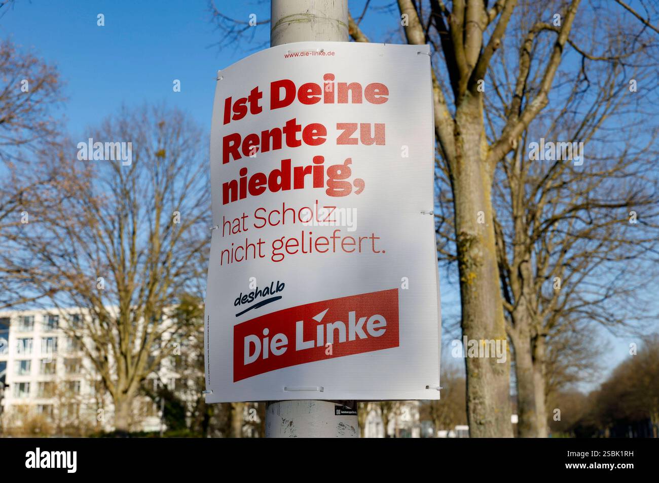 Wahlplakat von Die Linke zur Wahl zum 21. Deutschen Bundestag. Bonn, 02 ...