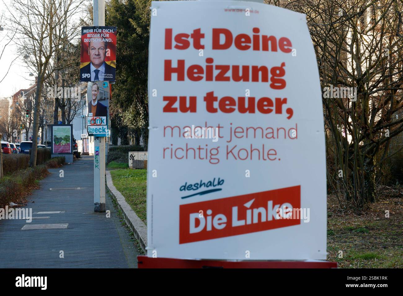 Wahlplakat von Die Linke zur Wahl zum 21. Deutschen Bundestag. Bonn, 02 ...