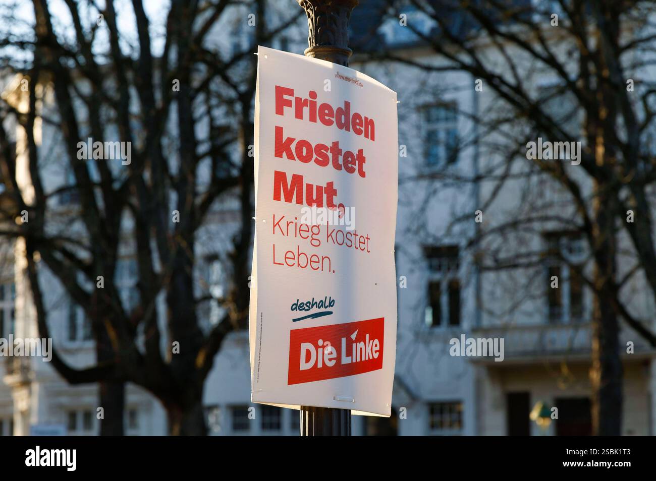 Wahlplakat von Die Linke zur Wahl zum 21. Deutschen Bundestag. Bonn, 02 ...