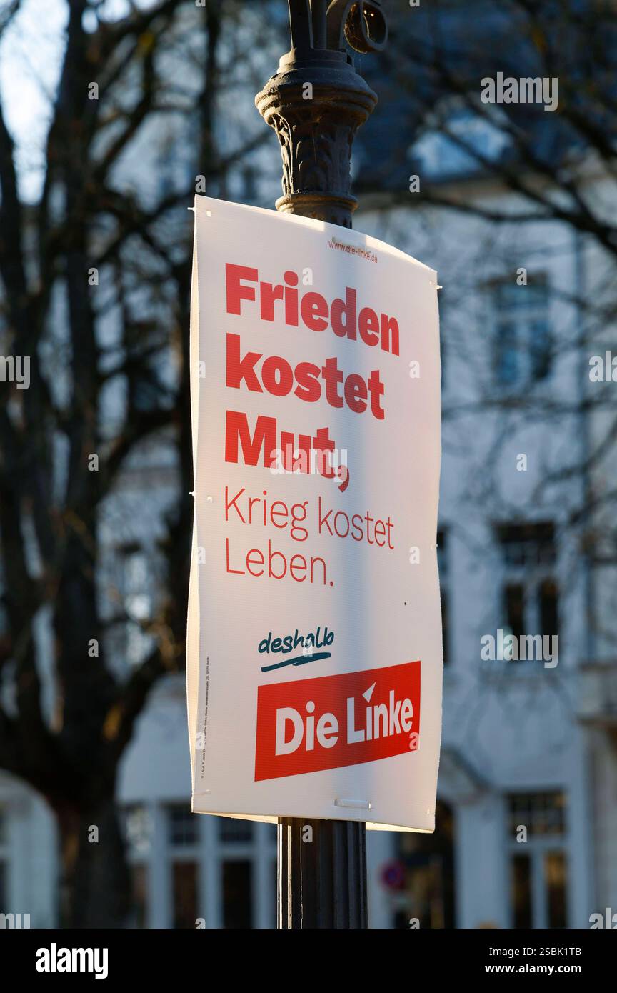 Wahlplakat von Die Linke zur Wahl zum 21. Deutschen Bundestag. Bonn, 02 ...
