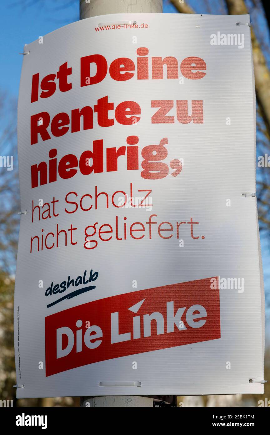 Wahlplakat von Die Linke zur Wahl zum 21. Deutschen Bundestag. Bonn, 02 ...