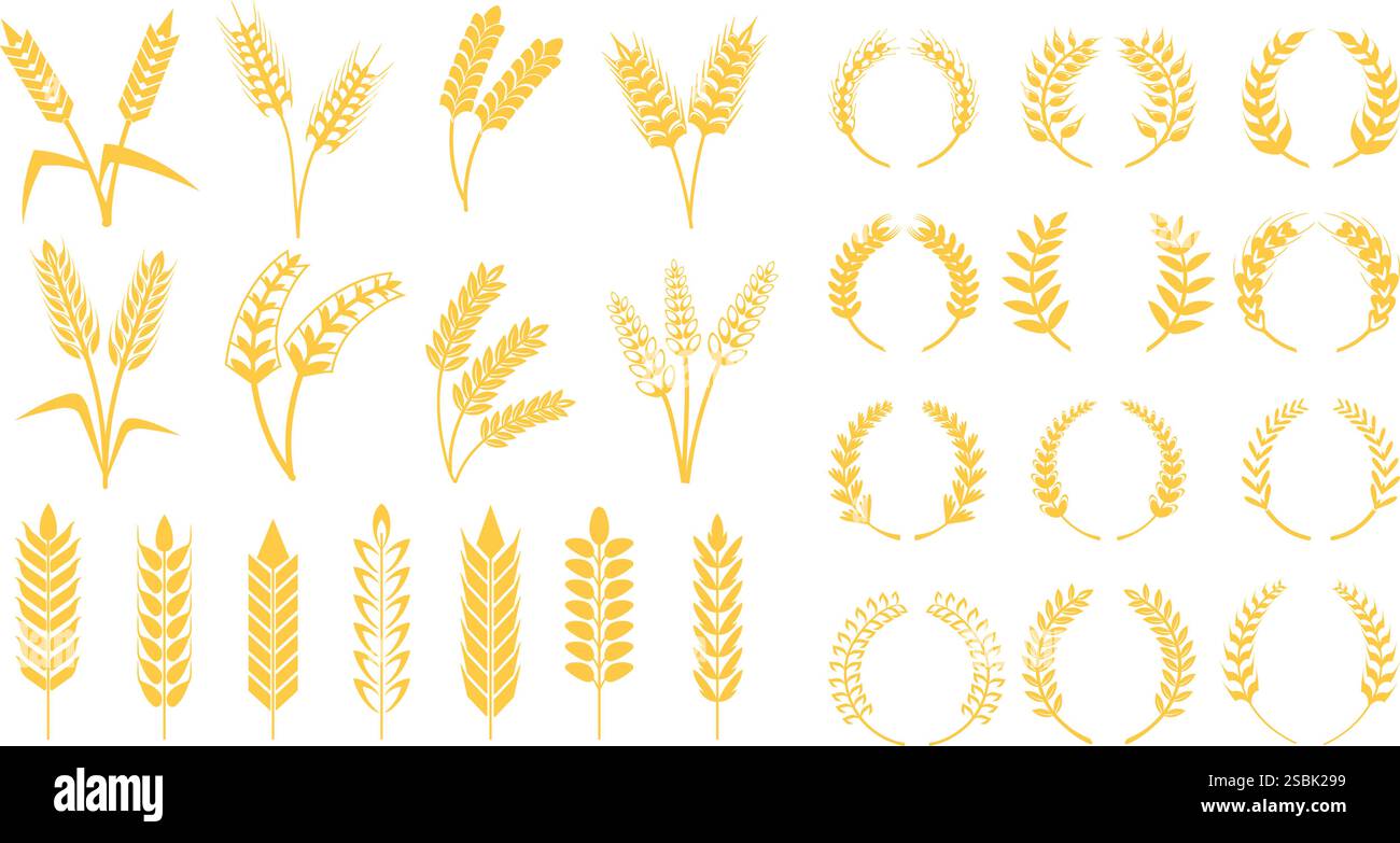 Wheat grains wreath. Barley ears, rye spike rice stalk or laurel ...