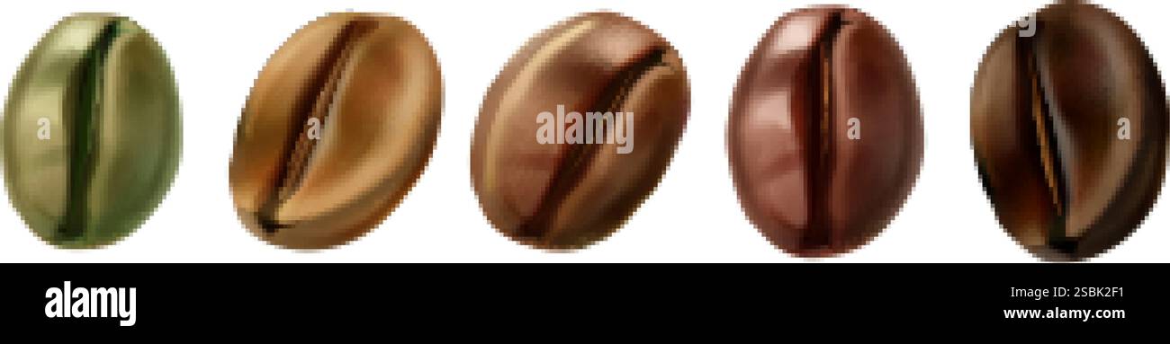 Coffee beans stages. Realistic arabica roast bean process, raw green ...