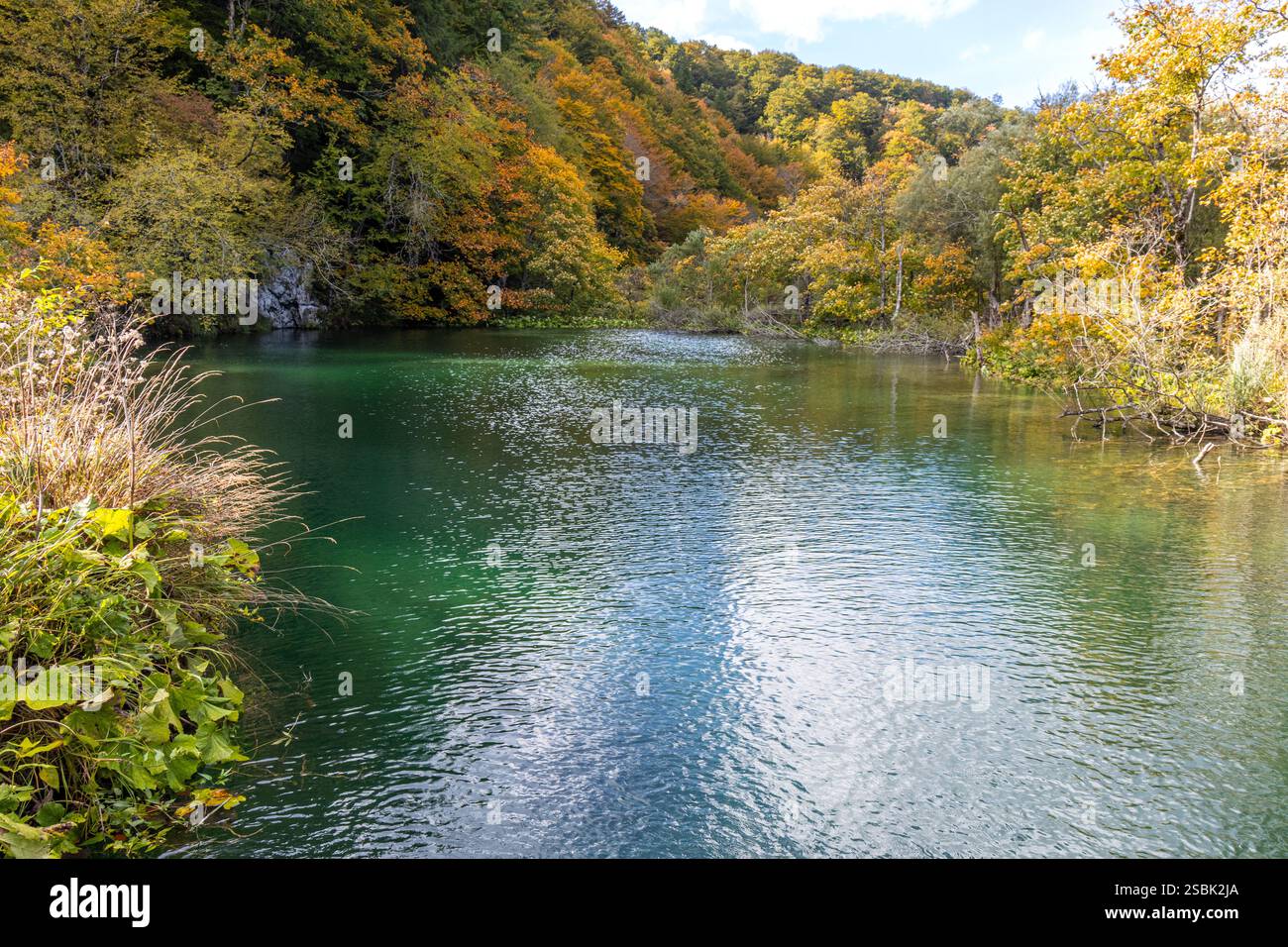 Parque Nacional de los Lagos de Plitvice. Lago de aguas cristalinas con ...