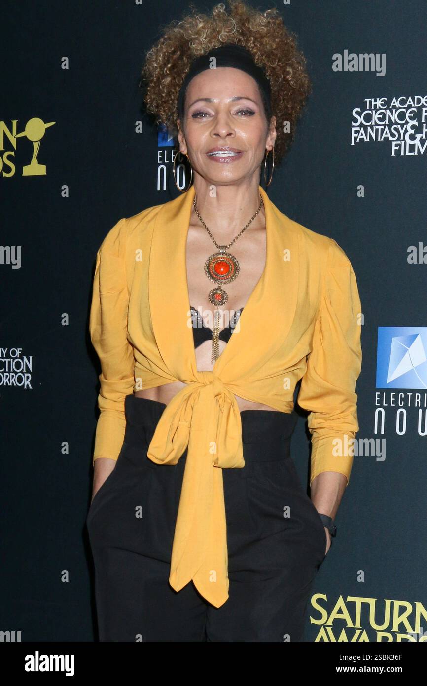 Los Angeles, USA. 02nd Feb, 2025. LOS ANGELES - FEB 2: Michelle Hurd at ...