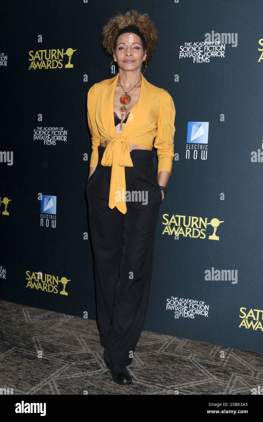 Los Angeles, USA. 02nd Feb, 2025. LOS ANGELES - FEB 2: Michelle Hurd at ...