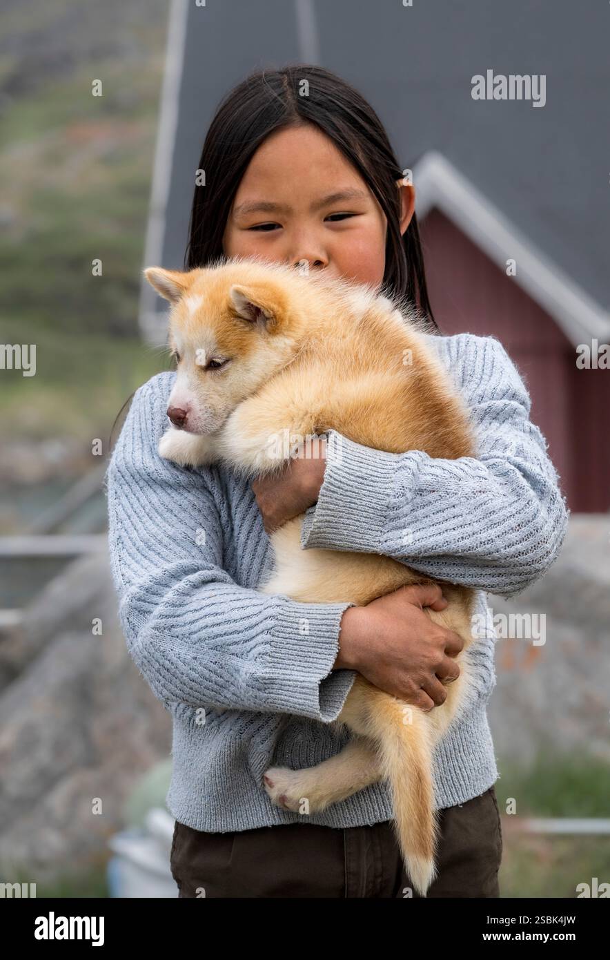 Little Inuit girl lovingly holds a small puppy in Sarfannguit village ...