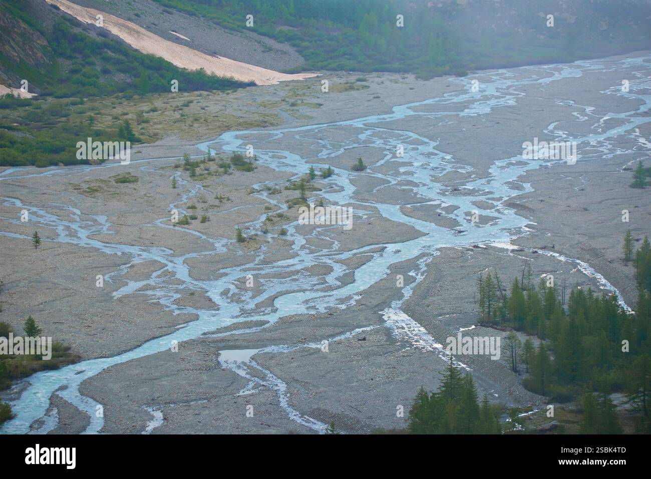 France24242 hi-res stock photography and images - Alamy