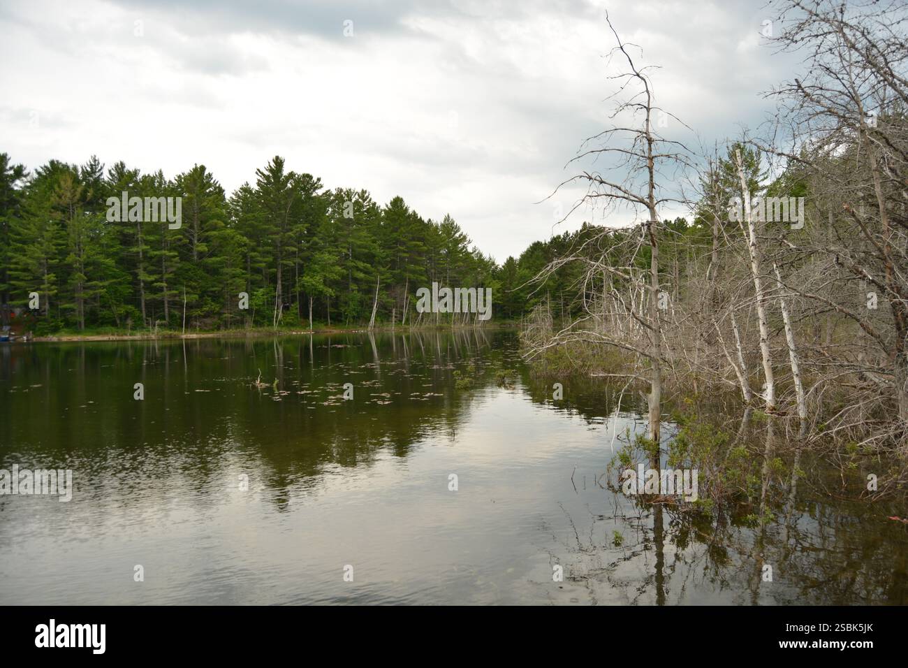 Cloudy reflection on lake at Pictured Rocks National Lakeshore Michigan USA Stock Photo - Alamy
