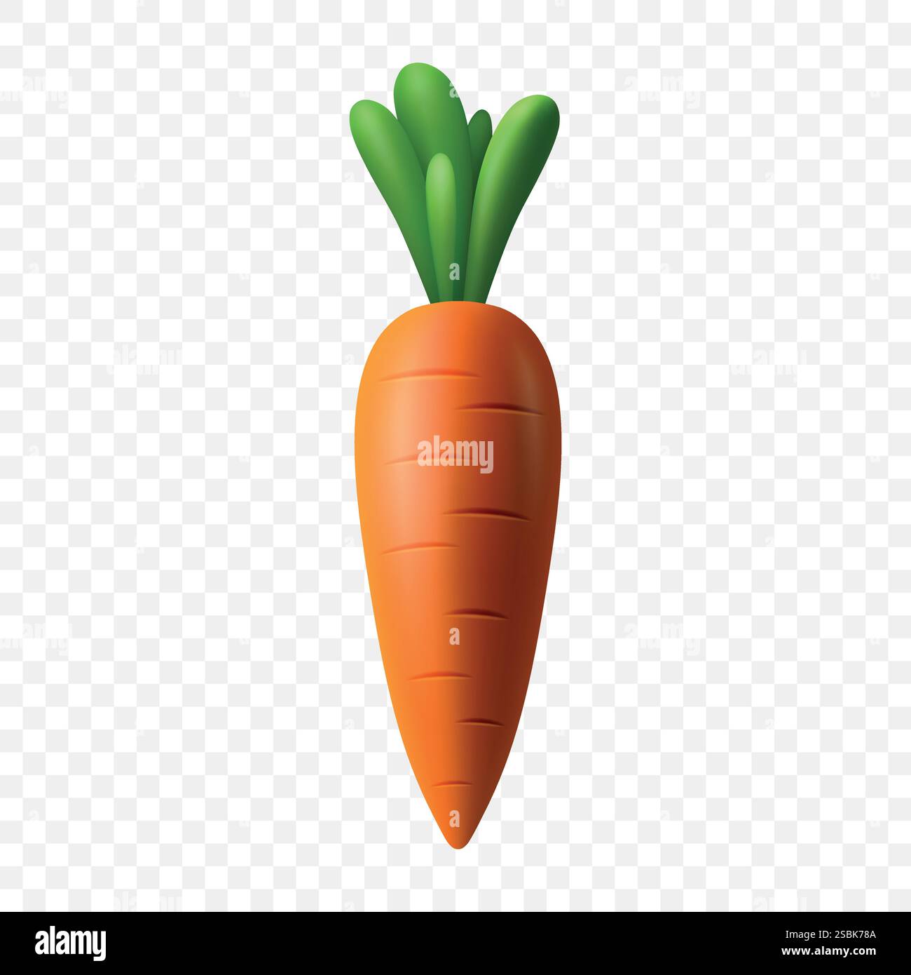 Vector 3d Illustration Of A Fresh Carrot With Green Leaves. Realistic ...