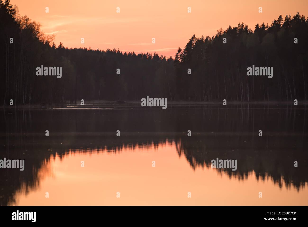 Lake scenery around sunset on a late spring evening in conifer forests ...