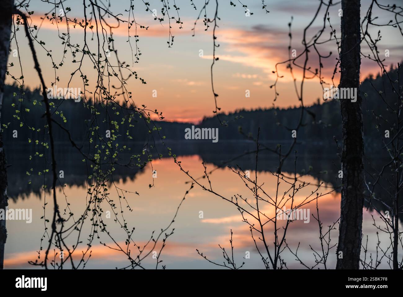 Lake scenery seen through tree branches in the forest wilderness of ...