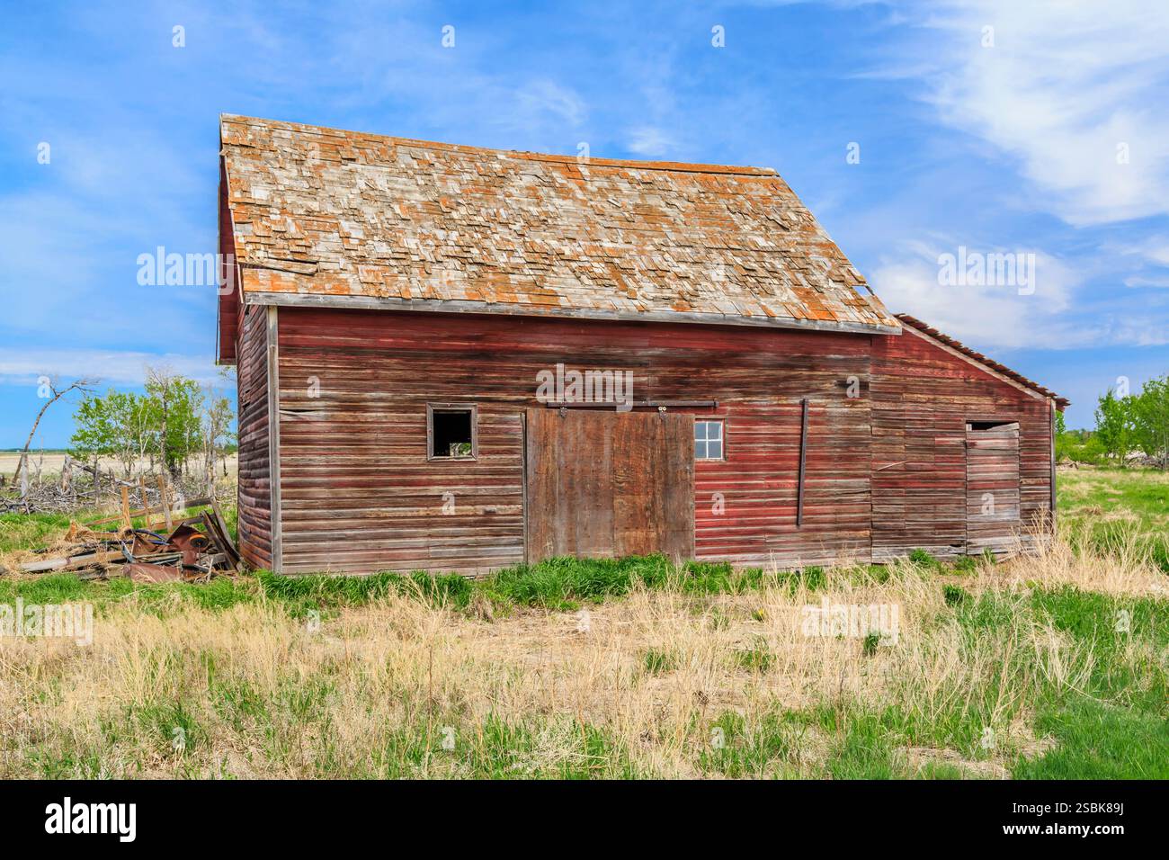 Red barn with a slanted roof. The roof is covered in moss. The barn is ...