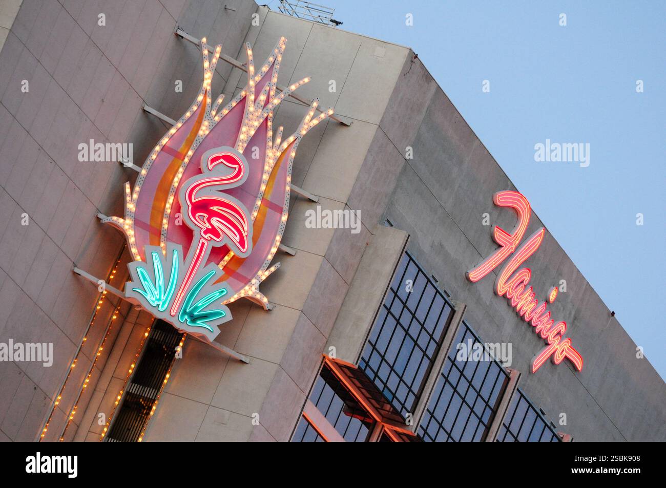 Neon flamingo sign lights up city building, captures urban nightlife ...