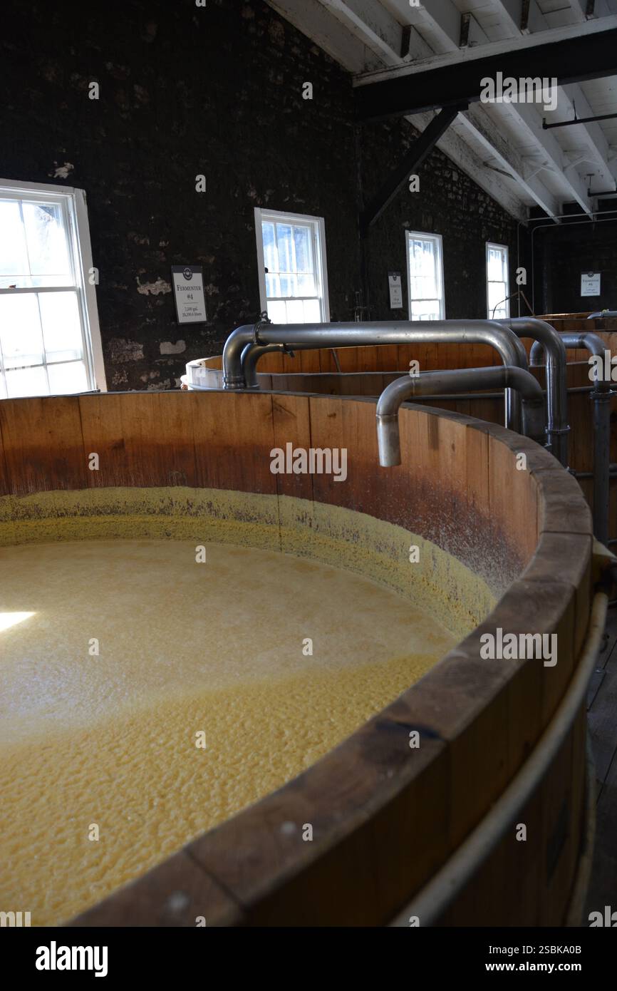 Wood vats fermenting a mash at Woodford Reserve Distillery Stock Photo ...