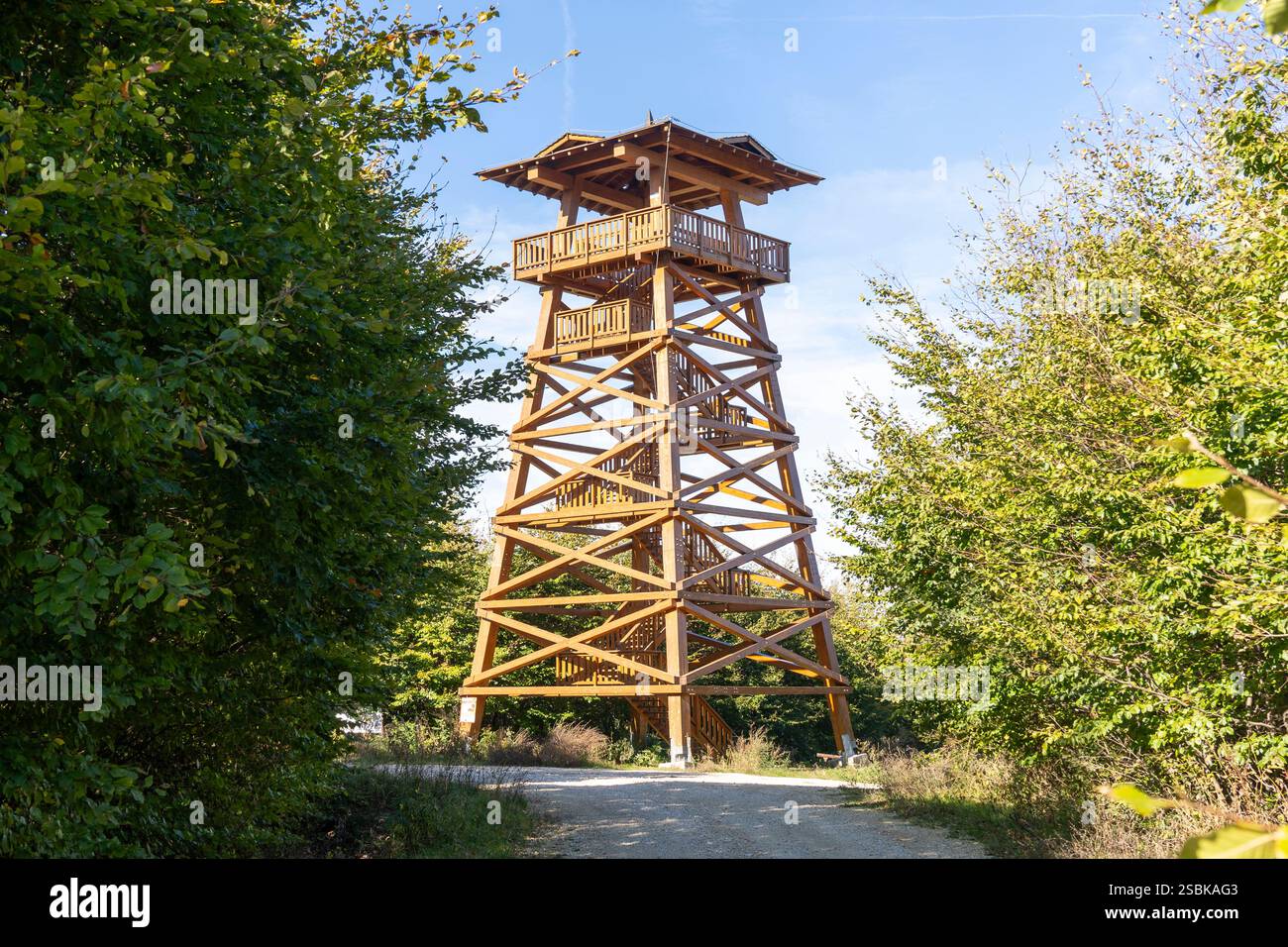 Wooden observation tower in forest clearing Stock Photo - Alamy