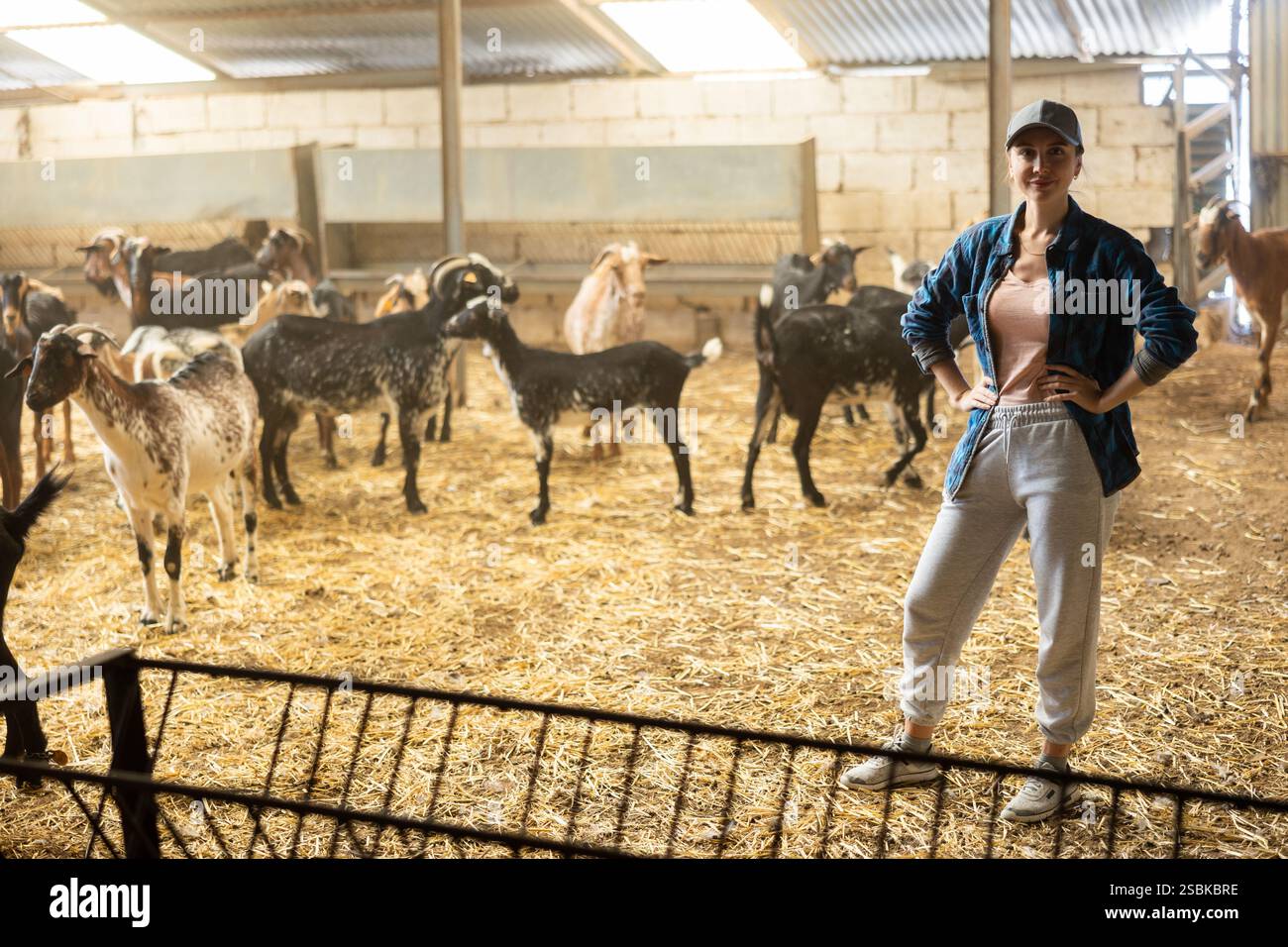 Positive female worker of livestock farm standing in goat stall Stock ...