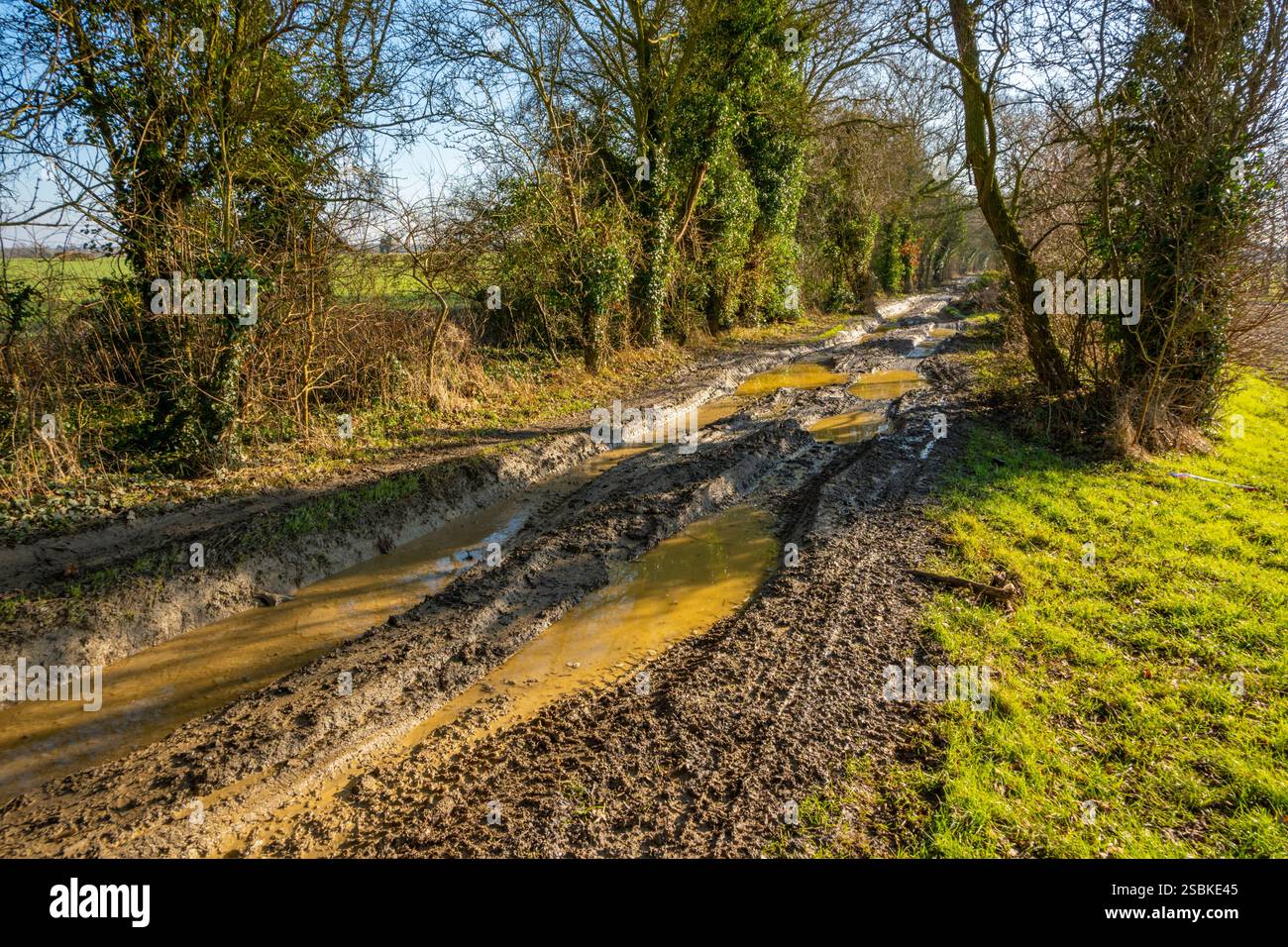 Green land churned up by 4 wheel drive vehicles near Howe Street Essex ...