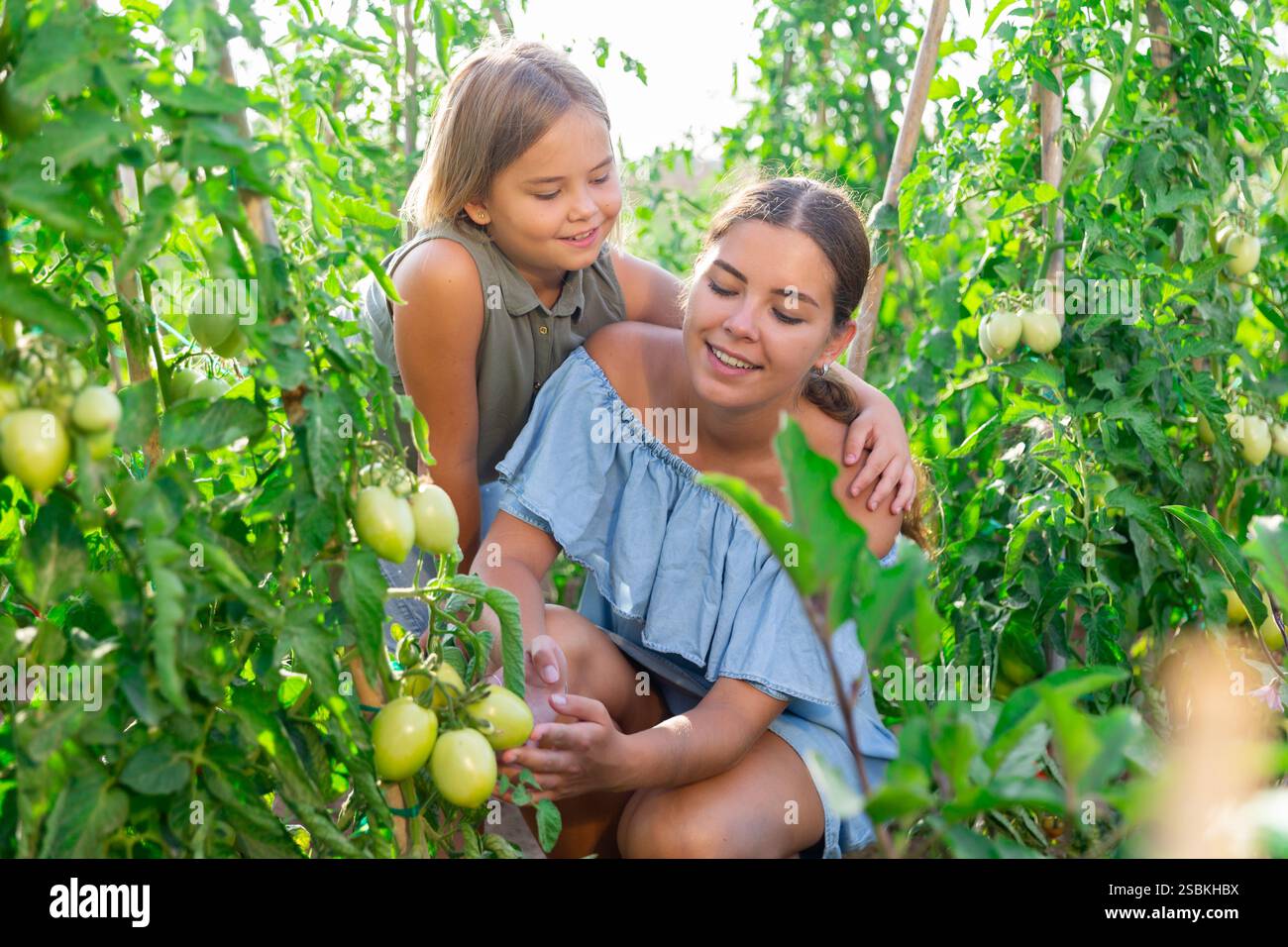 Teenage daughter helps mom look after tomato sprouts in garden Stock ...