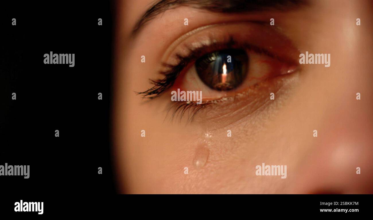 ARE YOU THERE?, Laura Sollet, 2024. ©Dark Sky Films /Courtesy Everett ...