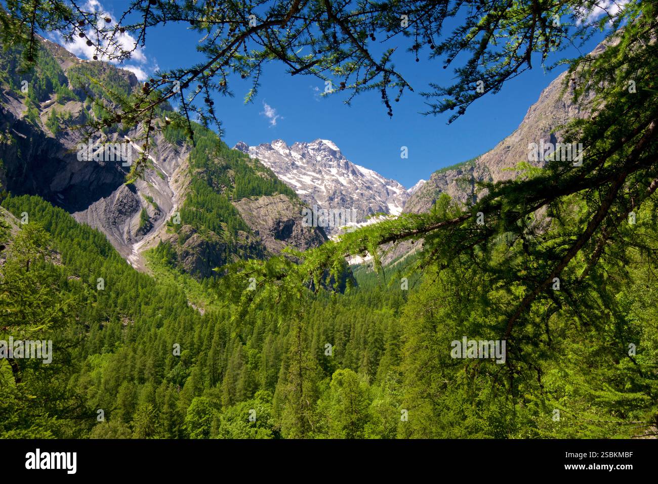 Verdant Alpine valley, Ailefroide, Vallouise-Pelvoux, Brianconnais ...