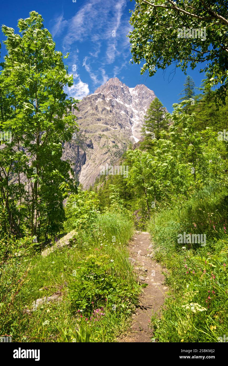 Mountain path alongside a verdant Alpine valley, Ailefroide, Vallouise ...