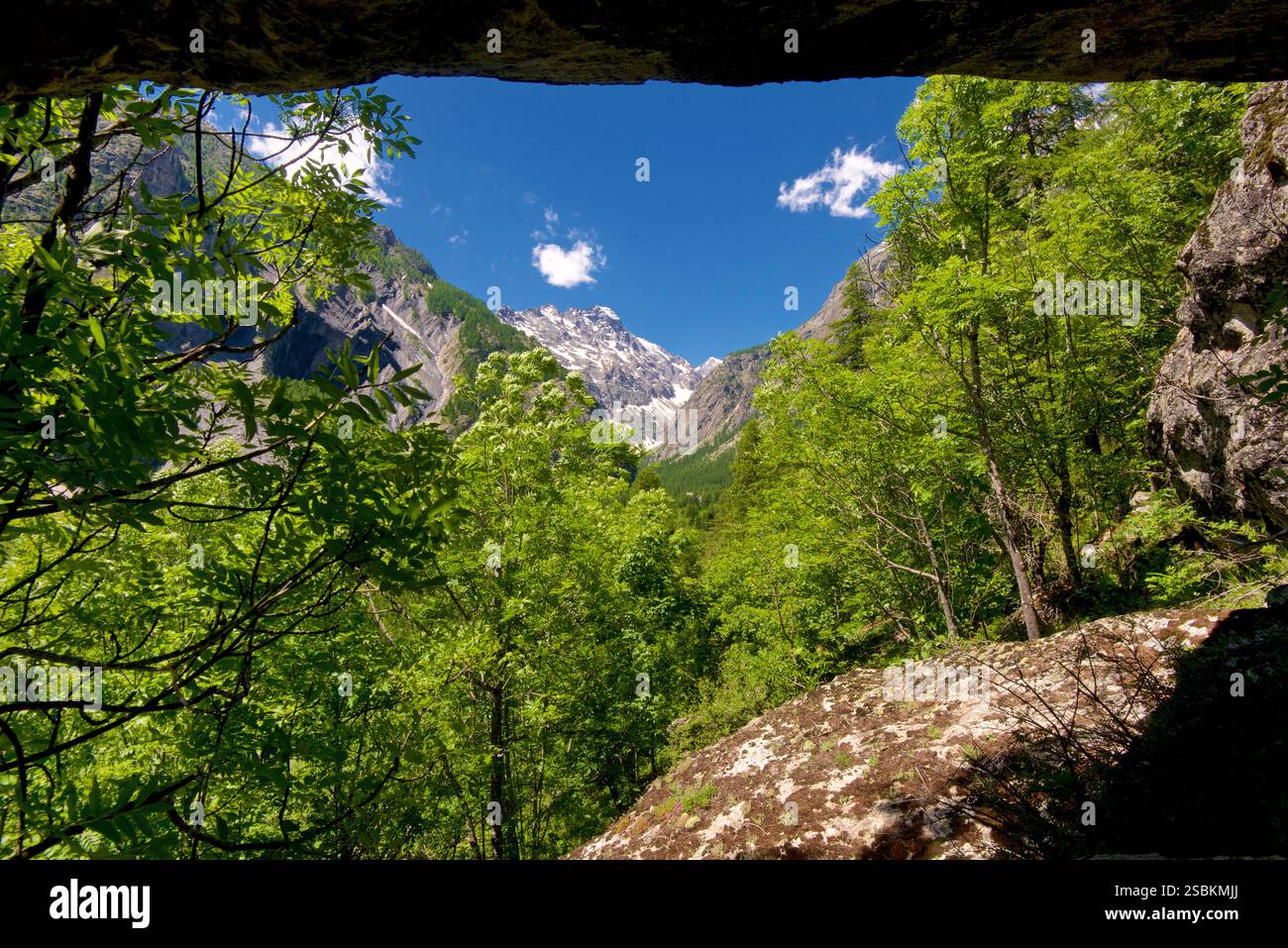 Verdant Alpine valley, Ailefroide, Vallouise-Pelvoux, Brianconnais ...