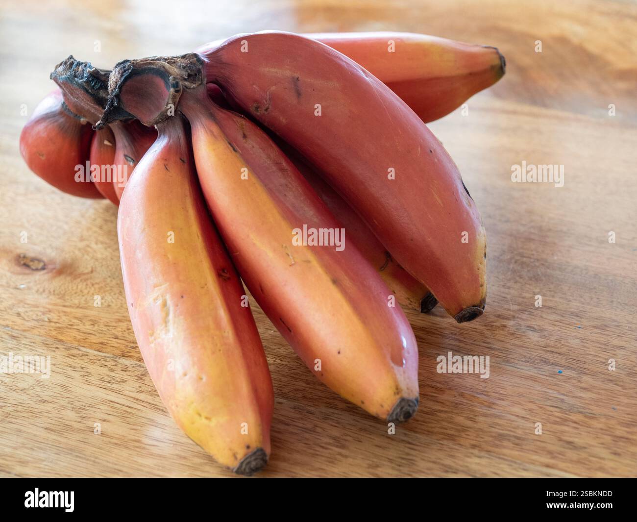 Hand bananas growing on hi-res stock photography and images - Alamy