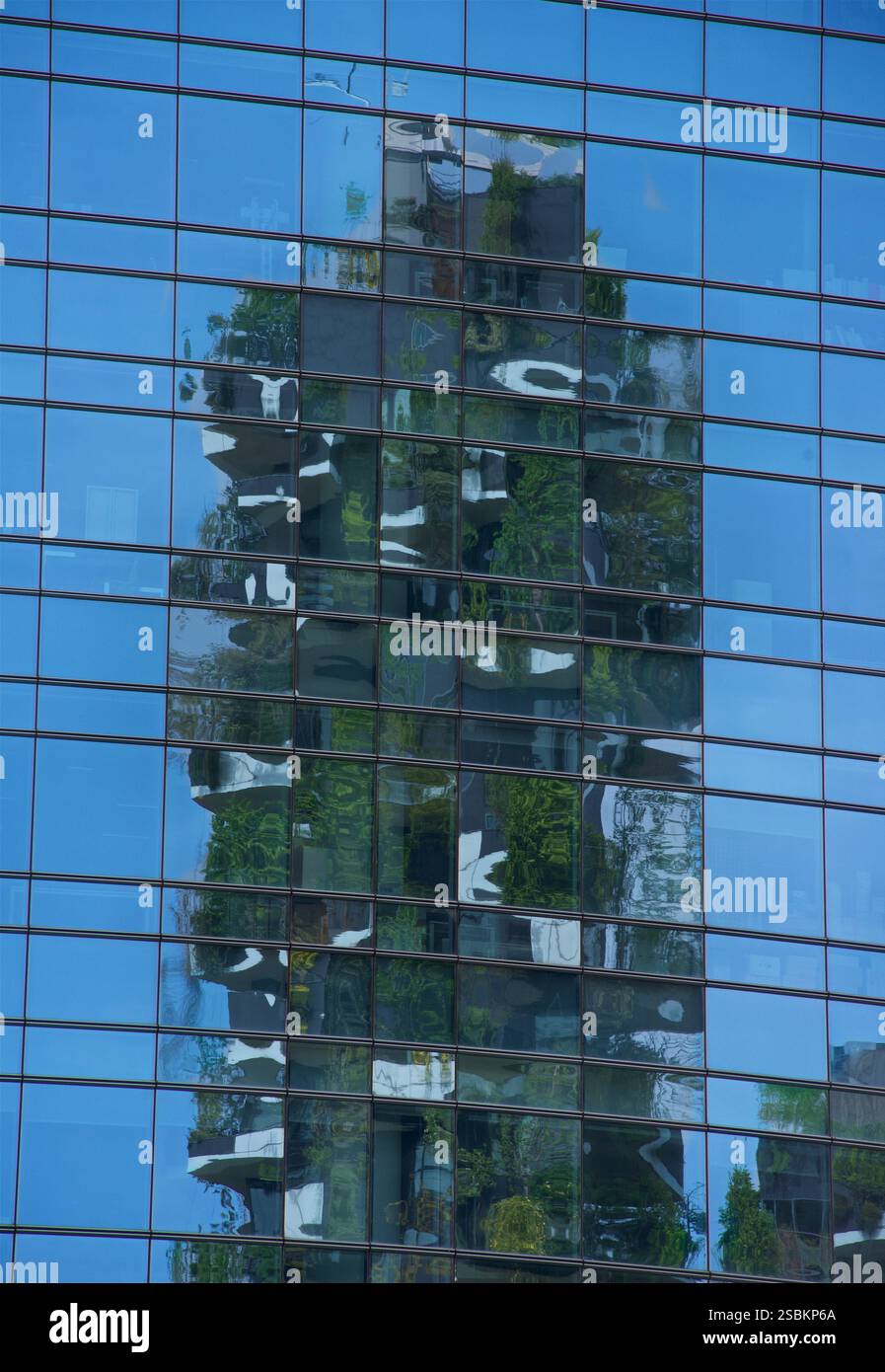 Refection of The 'Vertical Forest project, 'Porta Nuova area, Milan ...