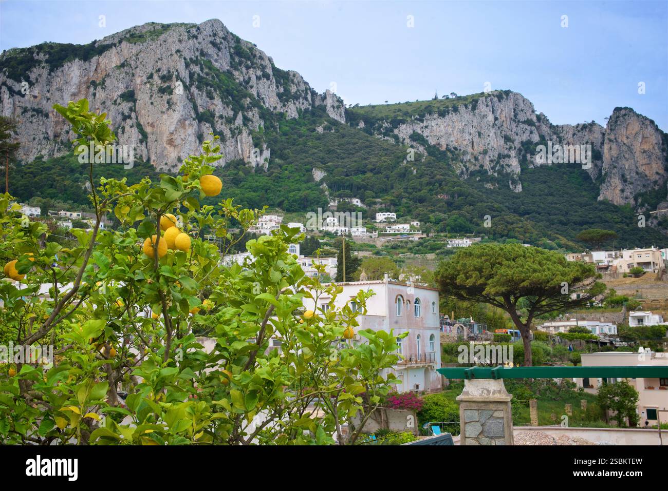 View NNW across Capri and the Gulf of Naples, Italy. Lemon tree with ...