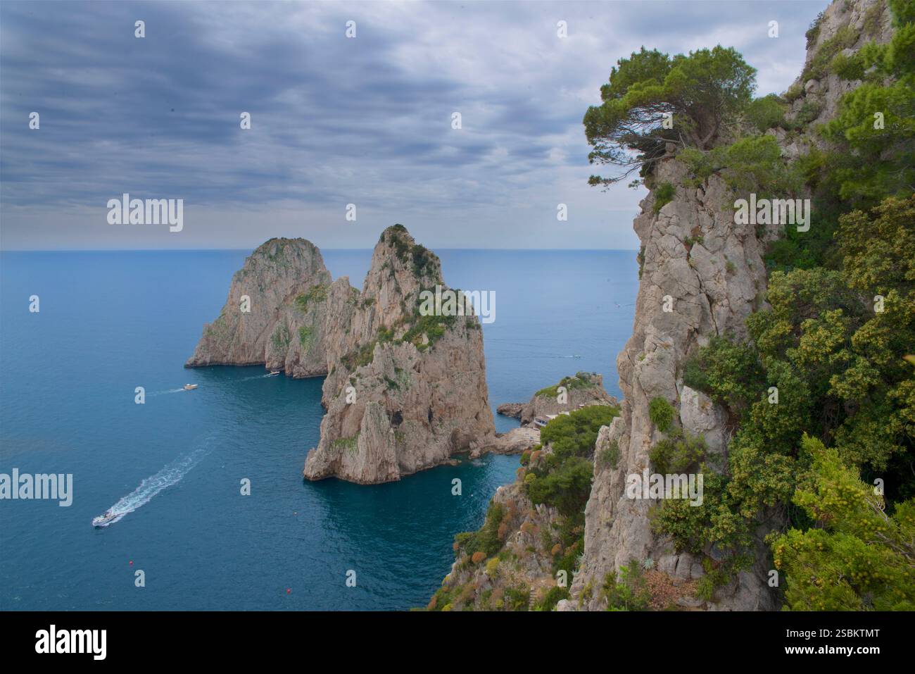 Podarcis siculus coeruleus hi-res stock photography and images - Alamy