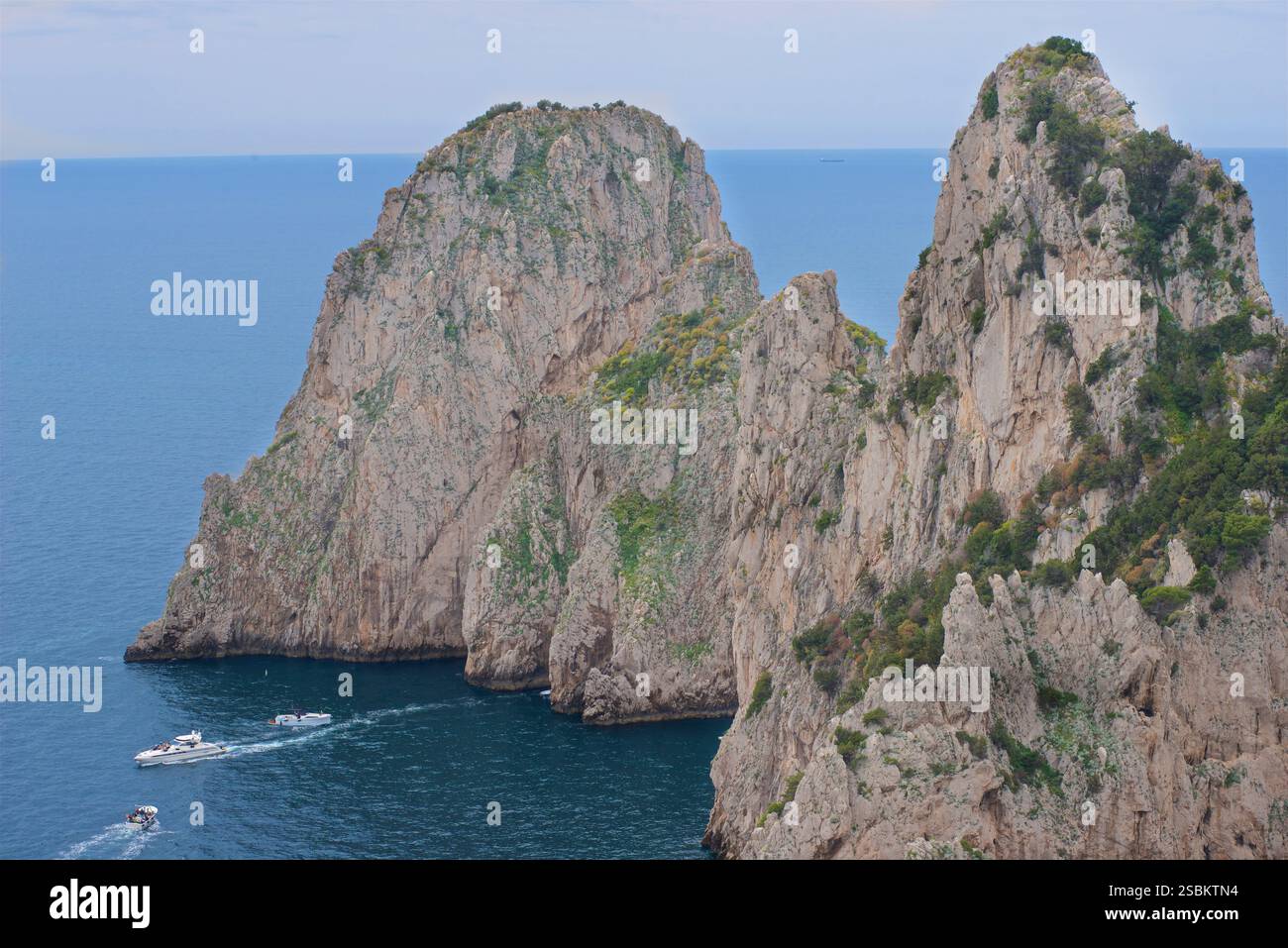 Podarcis siculus coeruleus hi-res stock photography and images - Alamy