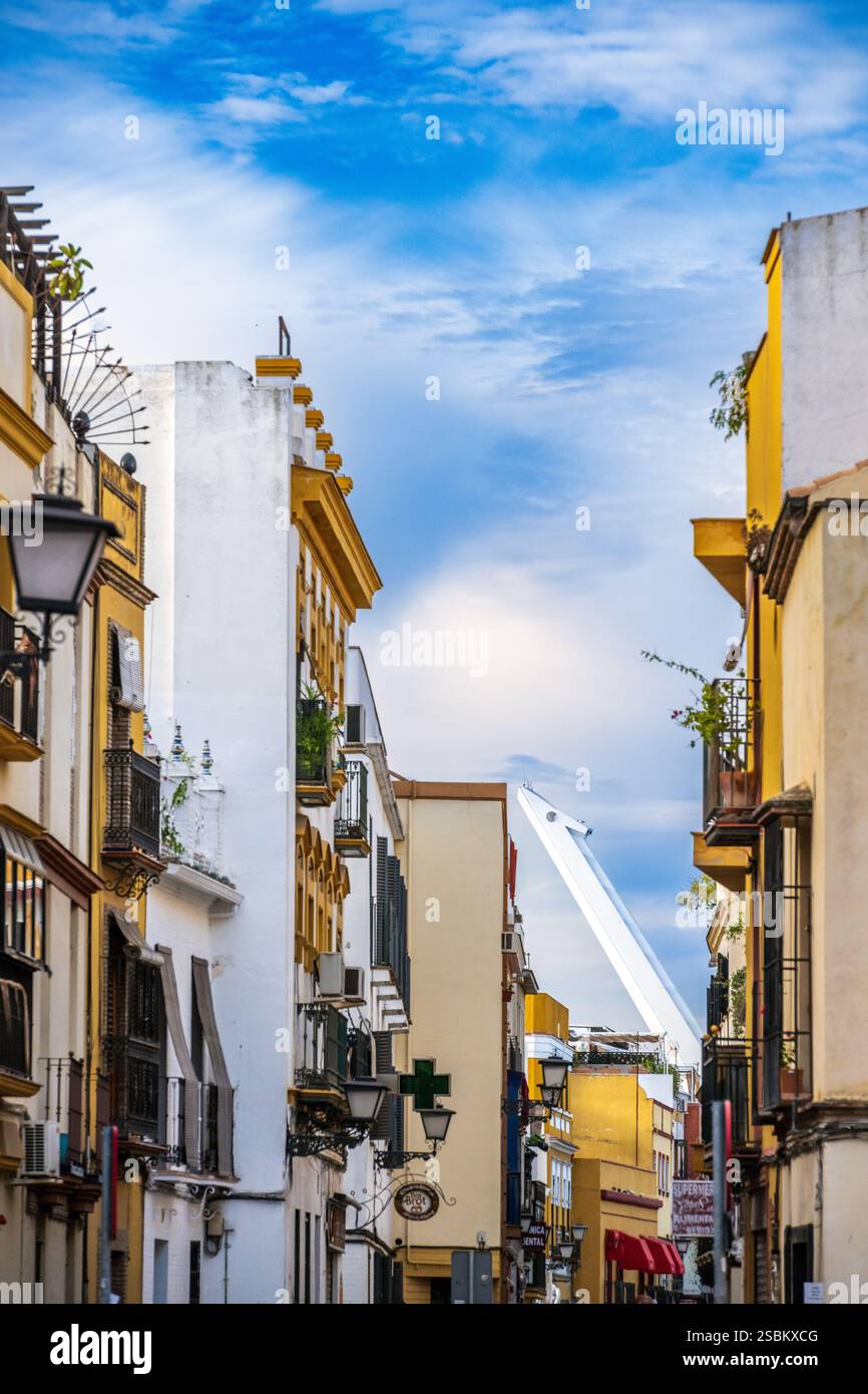 The unique design of the Alamillo Bridge mast towers over the historic ...